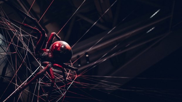 New exhibition at Melbourne Museum offers insight into super powers of bugs