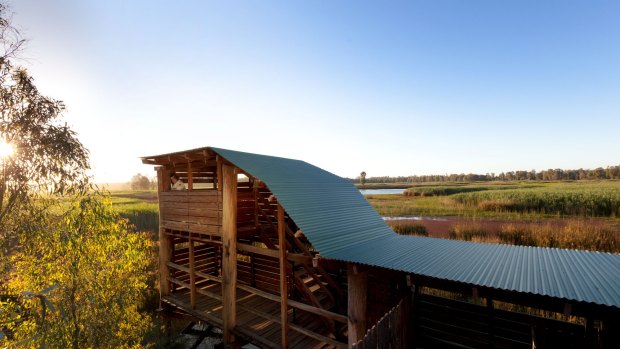 Murray Valley National Park, New South Wales: Walking trails and ...