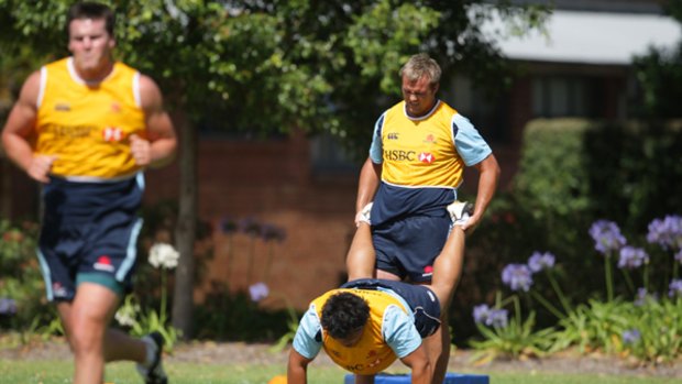 Waratahs pull a big boy out of the Boks