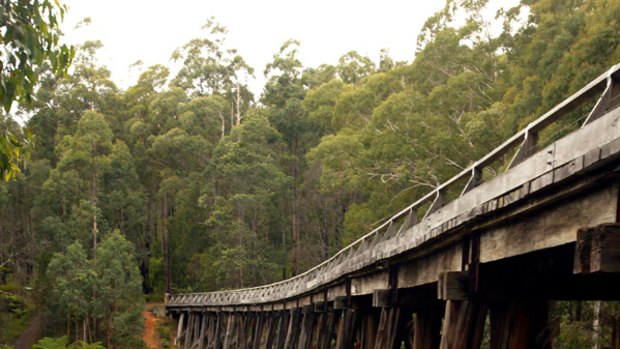 Noojee, Victoria: Travel guide and things to do