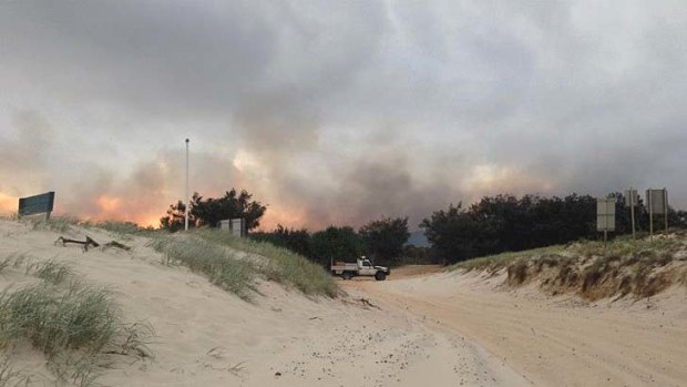 North Stradbroke fire leaves wildlife at severe risk