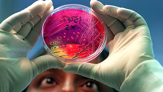 Food poisoning cases climb