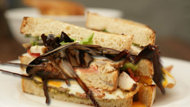 Cockroach sandwich may cost baker his business