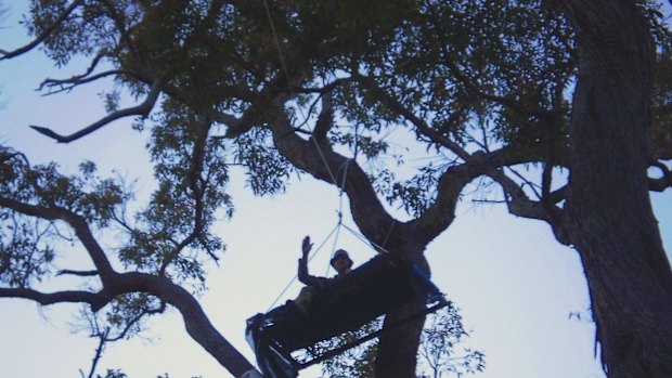 Army reservist one man tree-sitting protest in South West