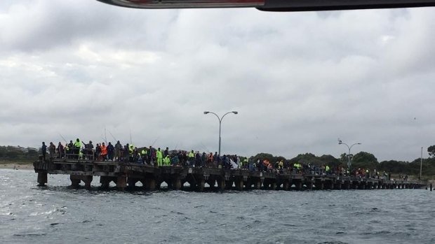 Best fishing spots revealed as Perth experiences 'bumper' salmon season