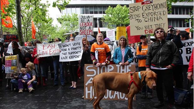 Thousand rally in Sydney against live animal exports
