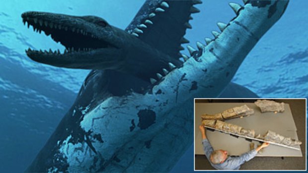 'World's biggest' sea monster found on UK coast