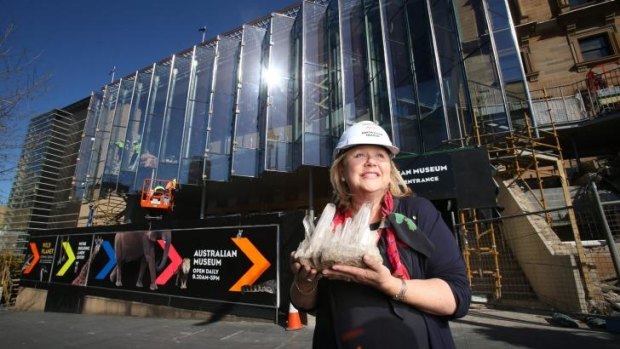 Australian Museum in profit as it prepares to reveal a new side to the city