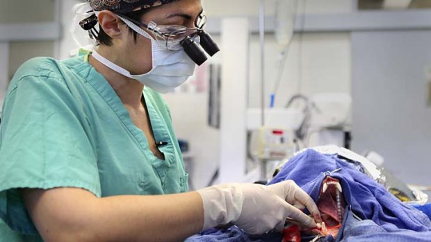 Three wisdom teeth can be a devil of a job