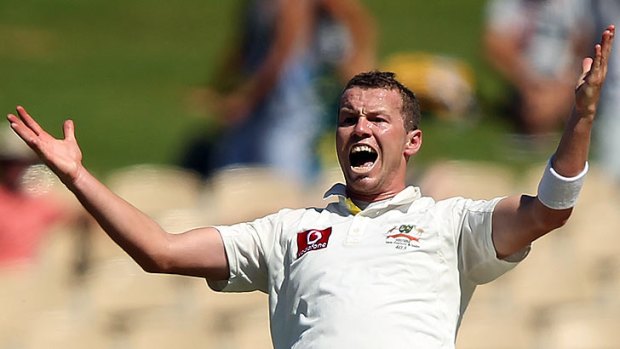 Don't overlook our quicks, says Siddle