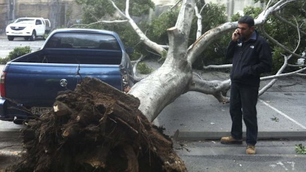 Wild winter weather batters greater Sydney