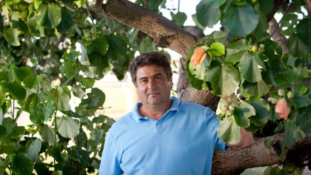 Winemaker raises glass to sangria