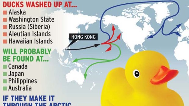 Toys make like ducks and get the flock out of there