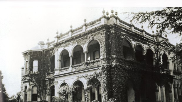 Susan Aird: A true believer of the radical Left