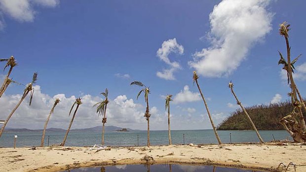 Dunk and disorderly: a tropical paradise lost