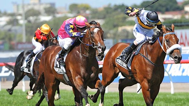 Plan pays off for trainer