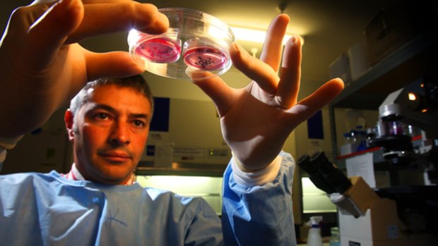 Clone wars coming to a head