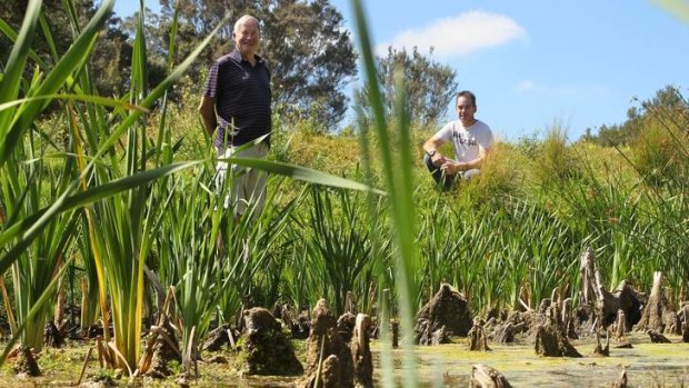 Benefactor wades through mire to protect swamp