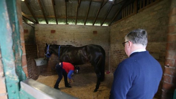 Better Land does it the hard way, says owner Richard Pegum