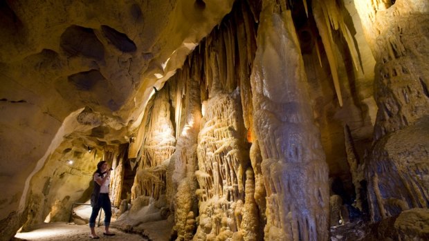 Princess Margaret Rose Caves, Victoria: Travel guide and things to do