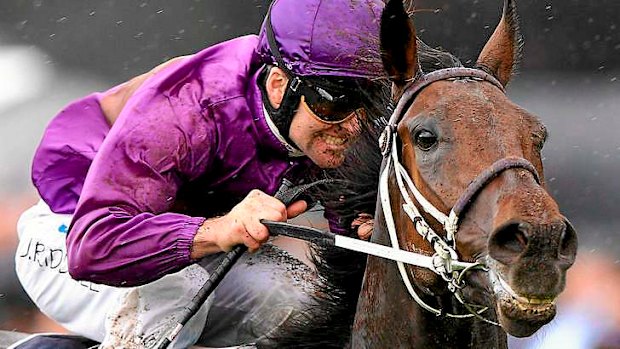 Platinum Kingdom makes Riddell earn his money the hard way