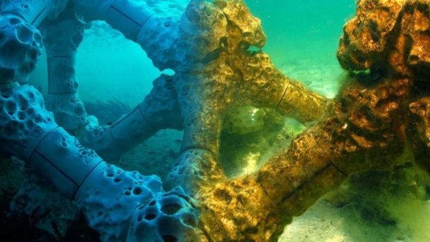 Lego inspires Melbourne designer Alex Goad's idea for repairing coral reefs