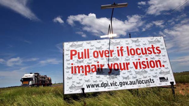 Signs there's a swarm brewing