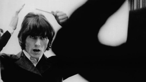 George Harrison tree in L.A. killed by beetles