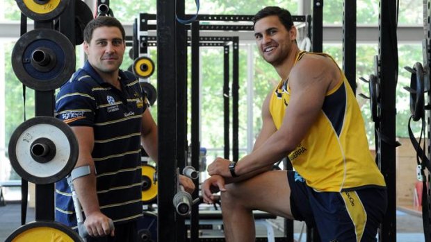 New Brumby stands by career-defining gamble