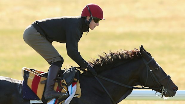 Cox Plate 2014: only two obstacles for Adelaide
