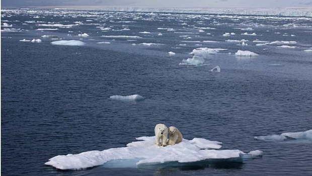 Arctic ice cap shrinks to lowest level yet recorded