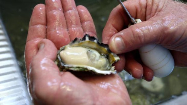 Crustaceans shellacked by climate change