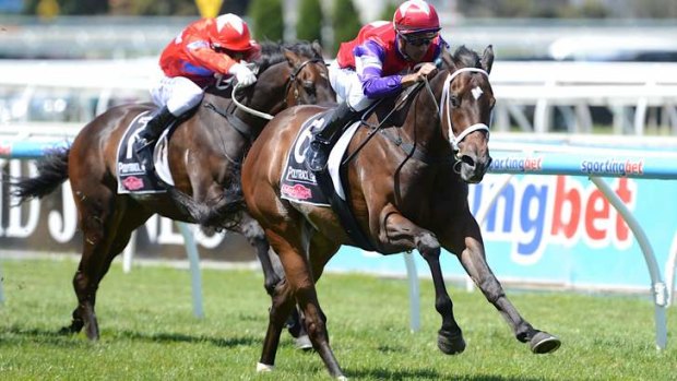 Flemington preview: Thunder Fantasy's Australian Guineas price amazes ...