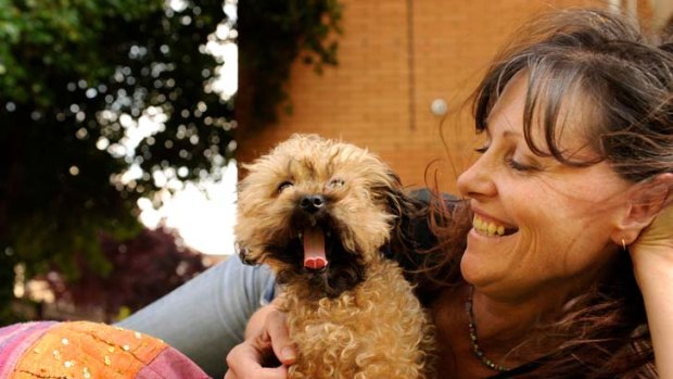 Puppy farms crackdown makes a dog's life worthwhile