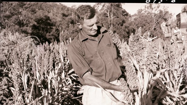 Max Woods, early advocate for soil and energy conservation