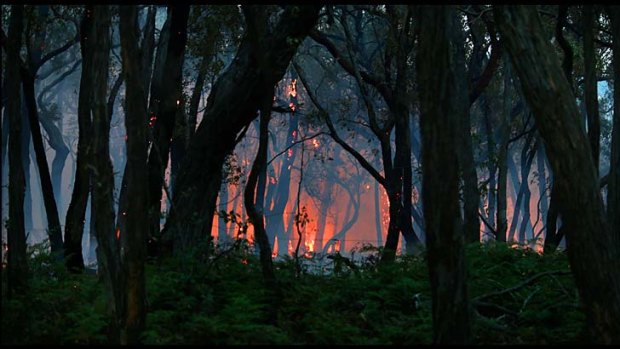 Arson fear as fire destroys homes