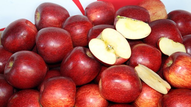 Queensland launches a new apple