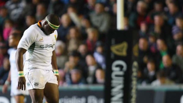 Springboks Basson, Ralepelle face hearing