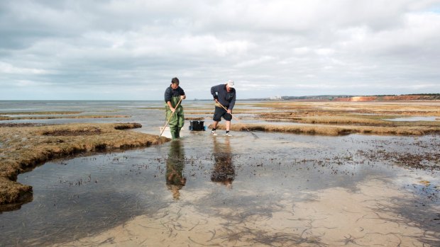 Ardrossan, South Australia: Travel guide and things to do