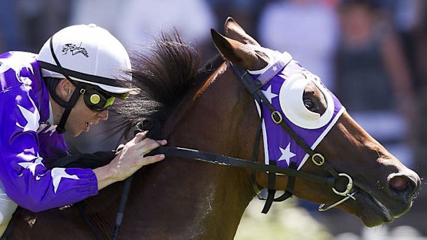 Tasmanian Derby looms for Gai Waterhouse's Pheidon