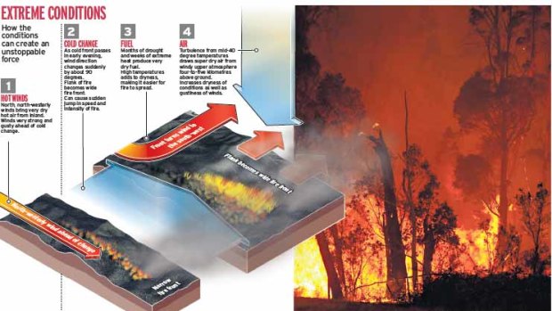 The science behind the bushfire heartbreak