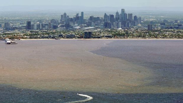 Bay beach problems roll on with algae warning