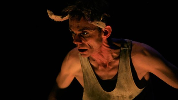 Animal instincts for company back at the farm