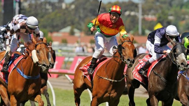 Happy Trails withdrawn from Moonee Valley race after early-morning raid