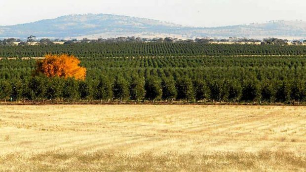 Six reasons to visit Boort