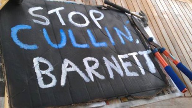 Thousands to rally at Cottesloe against shark cull
