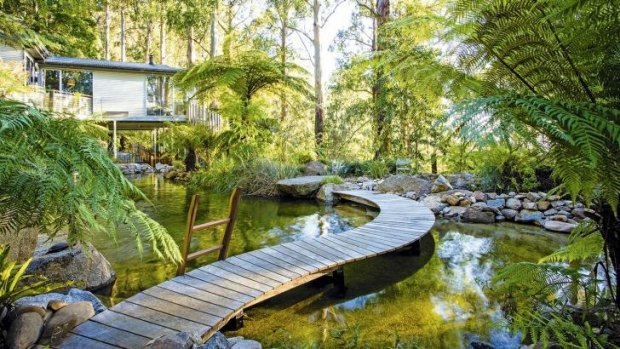 Home bush pools mimic nature's filtration system