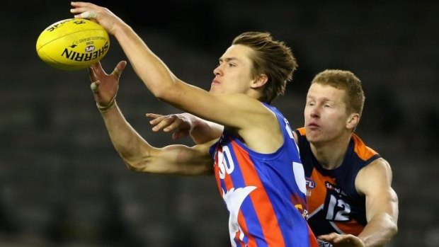Collingwood prospect Darcy Moore leads Oakleigh Chargers to TAC Cup title