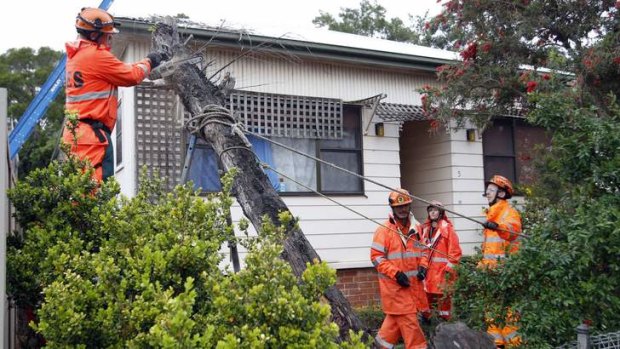 Man electrocuted as winds bring down trees, roofs, power