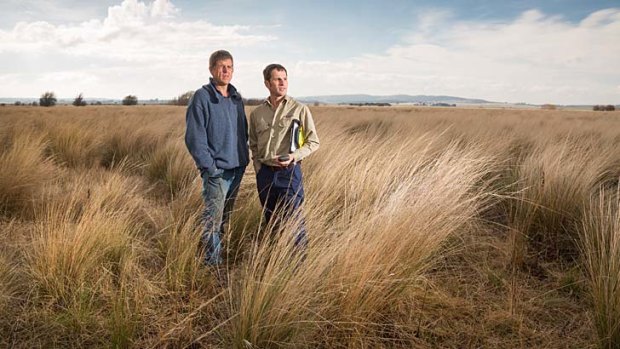 Grassroots approach to revive Tasmanian Midlands